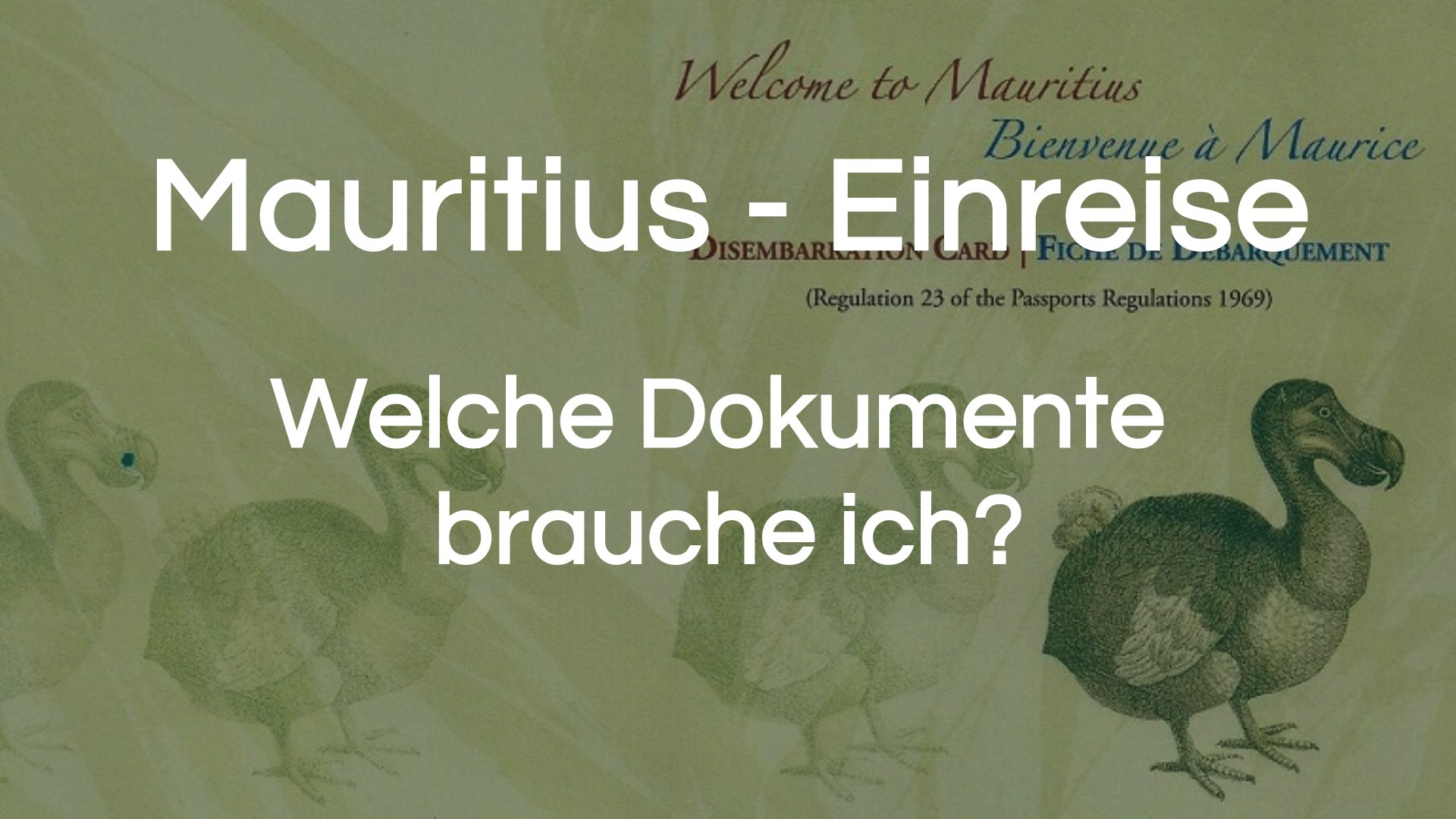 Mauritius Einreise 2026: Bestimmungen und was wichtig ist!