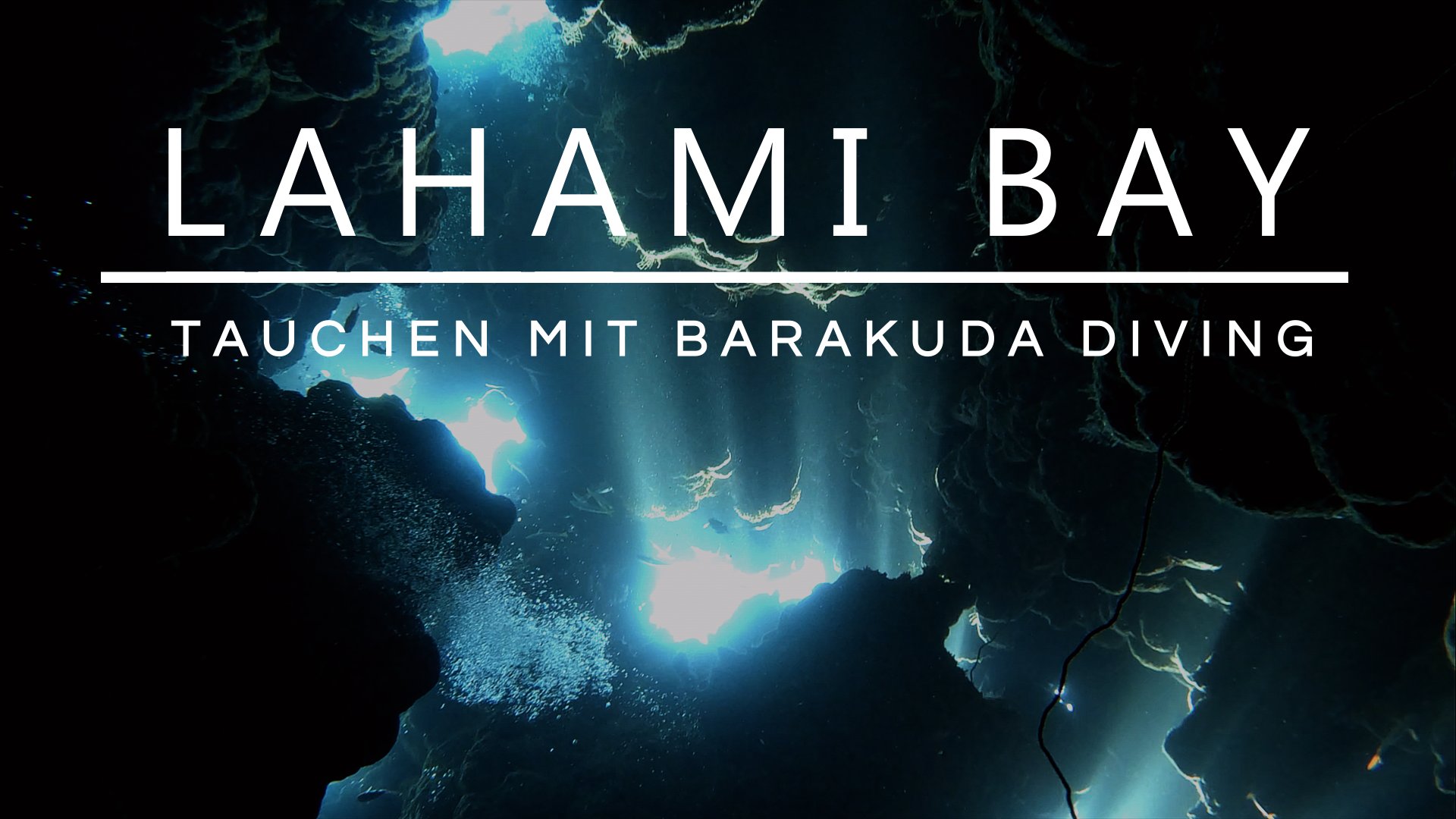 Lahami Bay: Tauchen mit Barakuda Diving